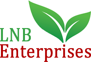 LNB Enterprises – LNB Enterprises
